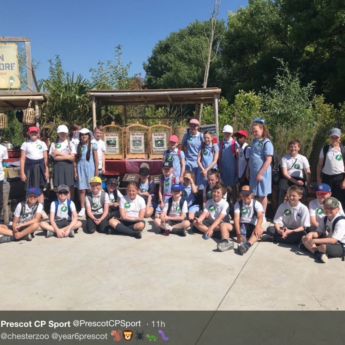 Prescot Primary and Nursery School - Conservationists at the zoo!